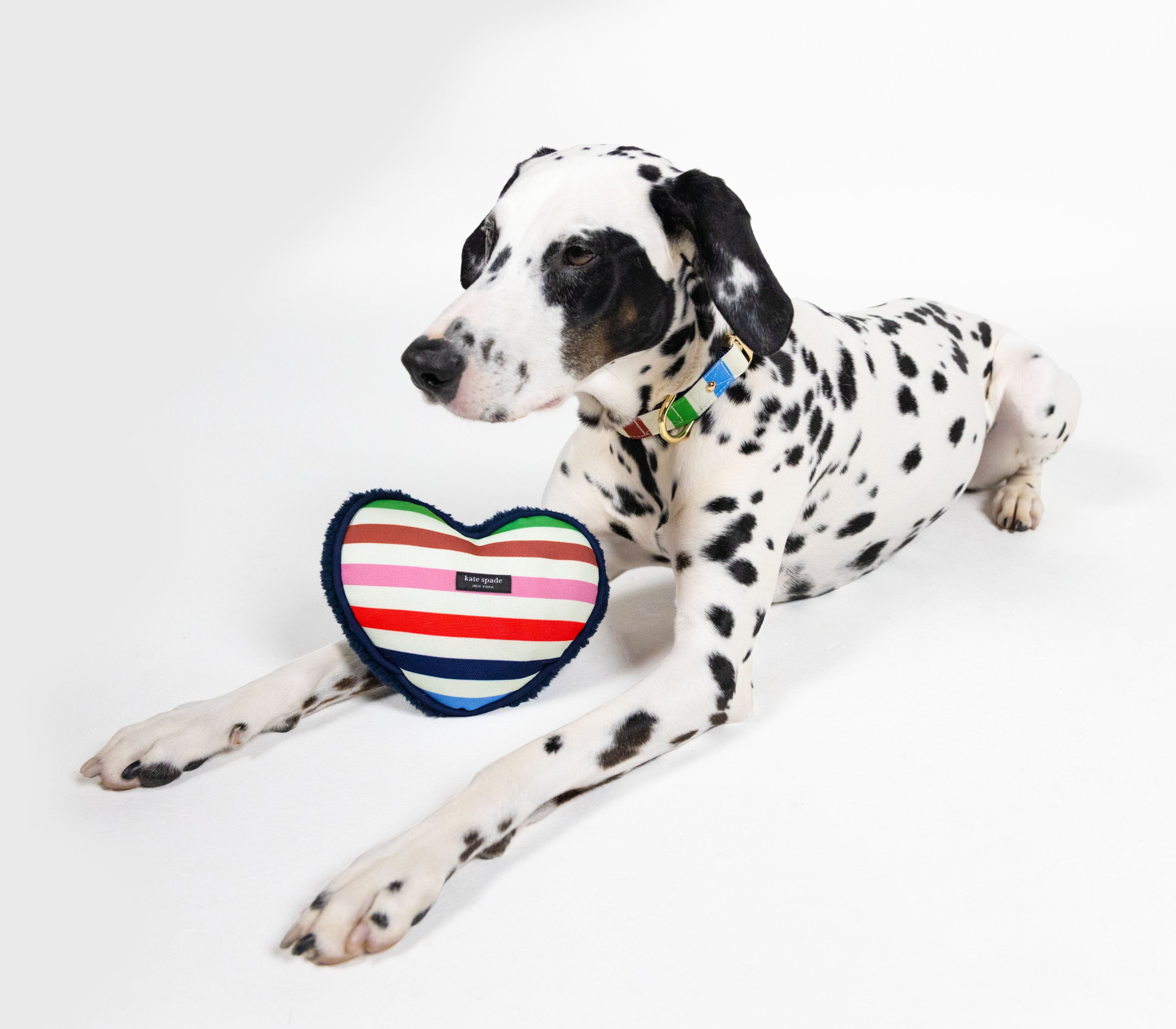 kate spade new york Chew Toy, Heart – Garvin Lane